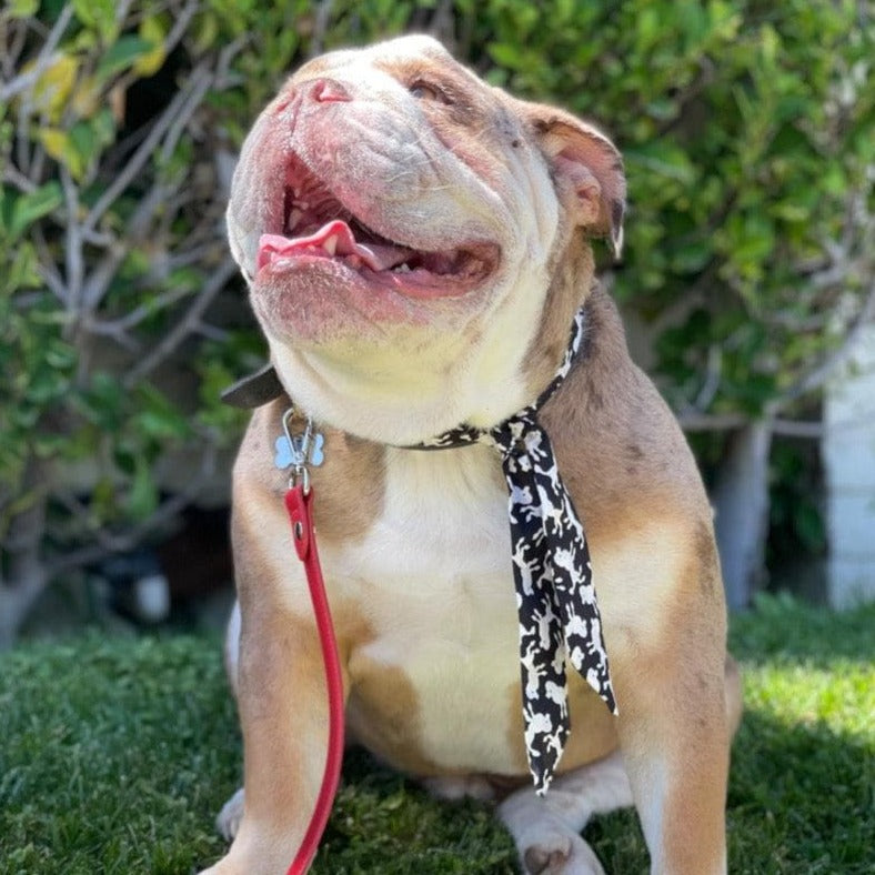 Marc Jacobs™ Silk Twilly